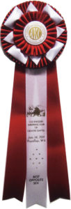 Dog Show Ribbons|Olympic RibbonArt