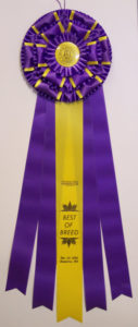 Dog Show Ribbons|Olympic RibbonArt