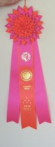 Dog Show Ribbons|Olympic RibbonArt