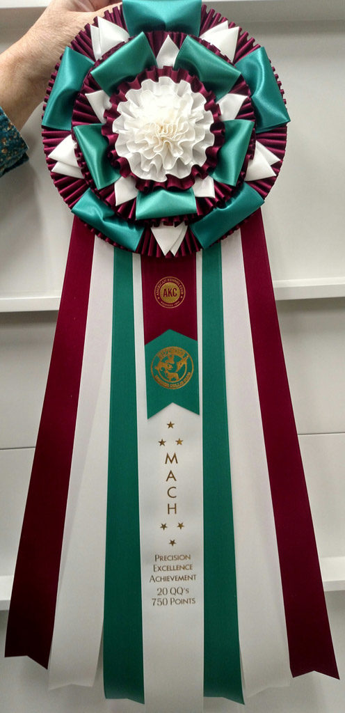 Sample Rosettes|Olympic RibbonArt