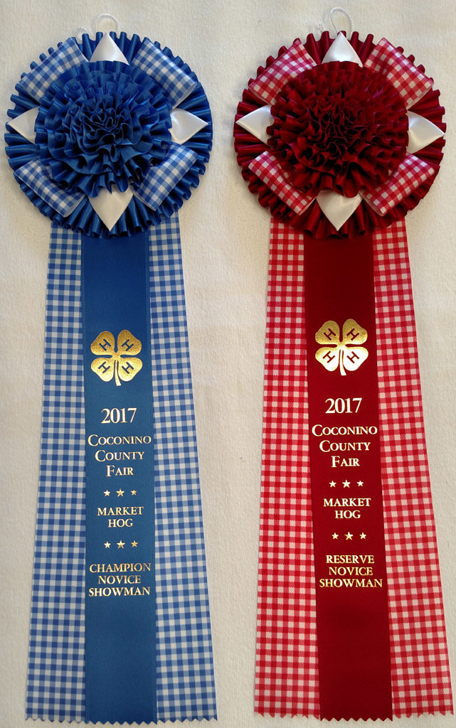 Sample Rosettes|Olympic RibbonArt