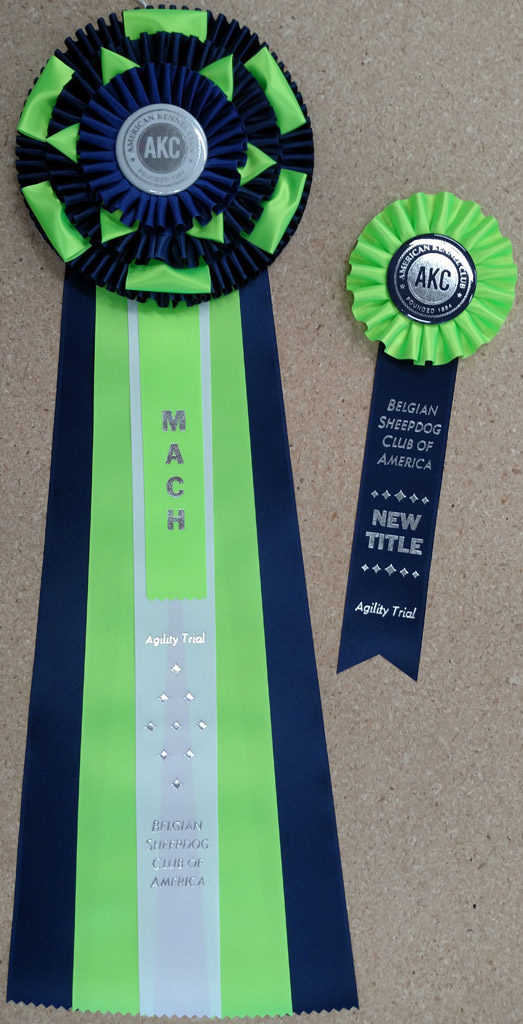 Sample Rosettes|Olympic RibbonArt