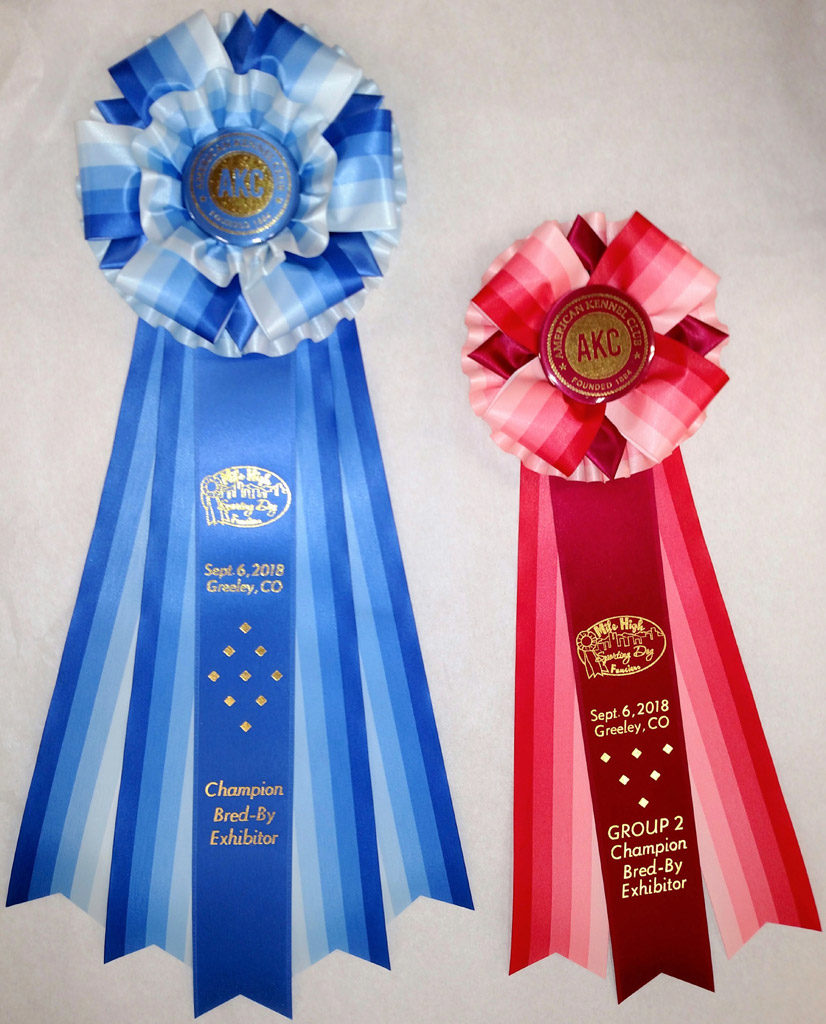 Sample Rosettes|Olympic RibbonArt